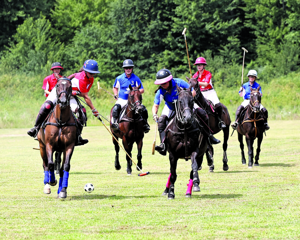 Polo, Anyone? | News, Sports, Jobs - The Vindicator